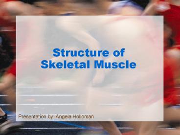 PPT – Structure of Skeletal Muscle PowerPoint presentation | free to ...