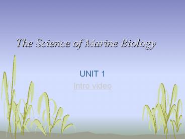 The Science of Marine Biology presentation | free to view