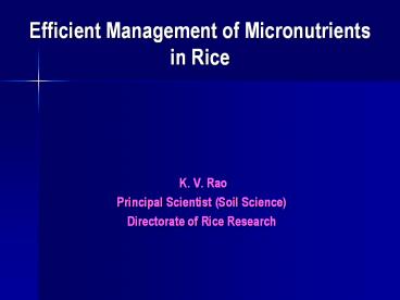 Efficient Management of Micronutrients in Rice presentation | free to view