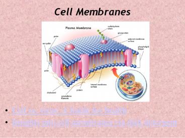 Cell Membranes presentation | free to download
