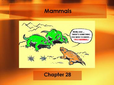 PPT – Mammals PowerPoint presentation | free to view - id: 3c3805-MWY4Z