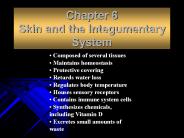 PPT – The Anatomy of the Integumentary System-Skin PowerPoint ...