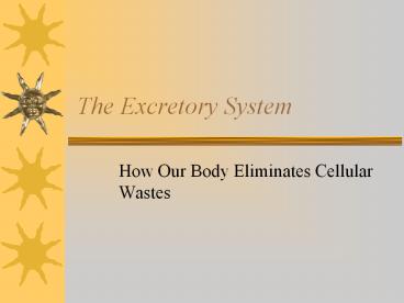 The Excretory System presentation | free to view