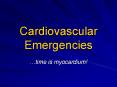 PPT – PATHOPHYSIOLOGY OF CARDIOVASCULAR DISEASE CVD PowerPoint ...