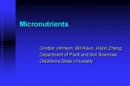 PPT – Micronutrients PowerPoint presentation | free to view - id ...