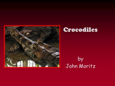 PPT – Crocodiles PowerPoint presentation | free to view - id: 3c8a8b-MDdjO