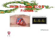 PPT – basics of ecg PowerPoint presentation | free to download - id ...