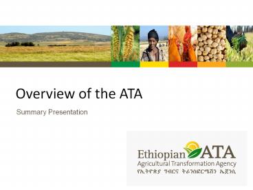 PPT – Overview of the ATA PowerPoint presentation | free to view - id: 3c98be-NzlmM