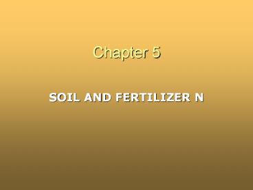 PPT – SOIL AND FERTILIZER N PowerPoint presentation | free to download ...
