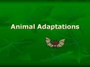 PPT – Animal Adaptations PowerPoint presentation | free to view - id ...