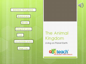 PPT – The Animal Kingdom PowerPoint presentation | free to view - id ...