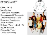 PPT – DISC Personality Profile PowerPoint presentation | free to view ...