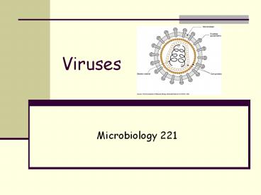 PPT – Viruses PowerPoint presentation | free to view - id: 3ce193-ZGI4N