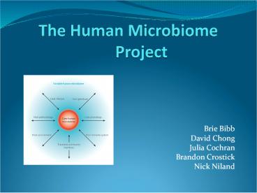 The Human Microbiome Project presentation | free to download