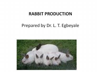 RABBIT PRODUCTION Prepared by Dr. L. T. Egbeyale presentation | free to ...