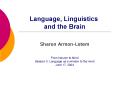 PPT – Psycholinguistics Language and the Brain PowerPoint presentation ...