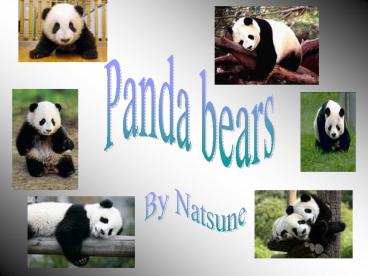 PPT – Panda bears PowerPoint presentation | free to view - id: 3d1678-NGQ0N