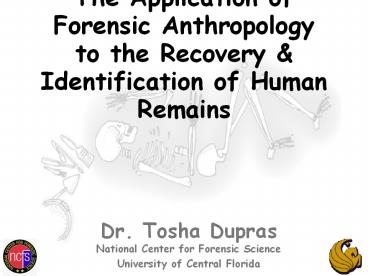The Application of Forensic Anthropology to the Recovery ...