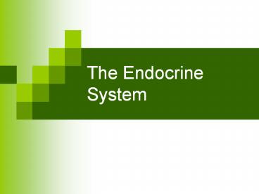 The Endocrine System presentation | free to view