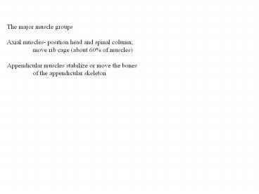 The major muscle groups presentation | free to view