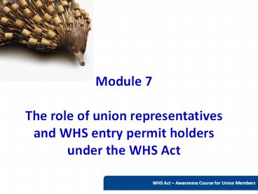 WHS Act: Role of union representatives and entry permit holders for ...