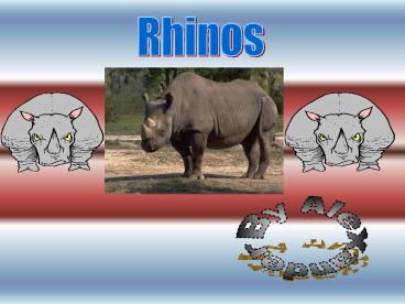 Black Rhino presentation | free to view