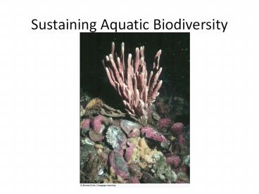 Sustaining Aquatic Biodiversity presentation | free to view