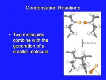 Condensation Reactions presentation | free to download