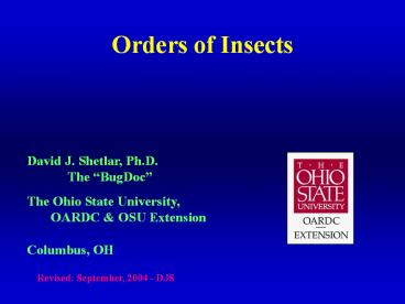 Orders of Insects presentation | free to download