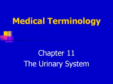 The Urinary System presentation | free to download