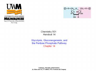 PPT – Chemistry 501 Handout 14 Glycolysis, Gluconeogenesis, and ...