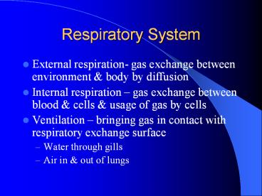 PPT – Respiratory System PowerPoint presentation | free to view - id ...