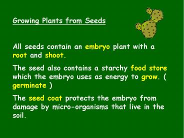 Growing Plants from Seeds presentation | free to download