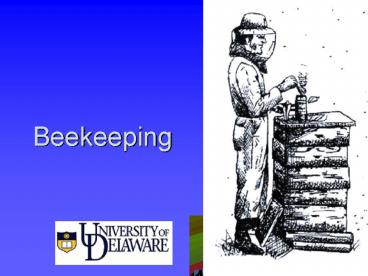 Beekeeping presentation | free to download