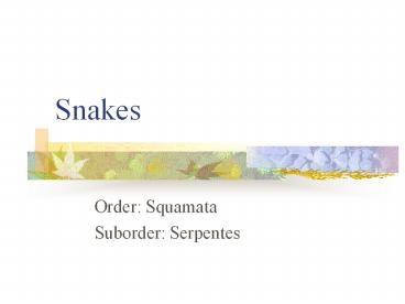 PPT – Snakes PowerPoint presentation | free to view - id: 3d887f-MDhkN