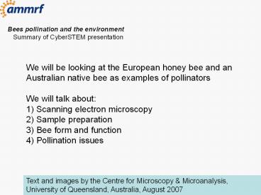 PPT – Bees pollination and the environment PowerPoint presentation ...
