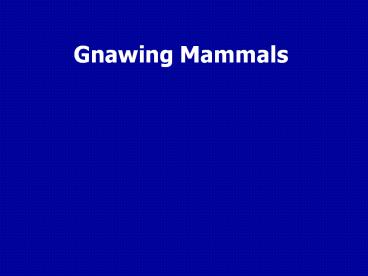 PPT – Gnawing Mammals PowerPoint presentation | free to download - id ...