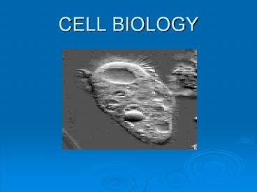 PPT – CELL BIOLOGY PowerPoint presentation | free to download - id ...