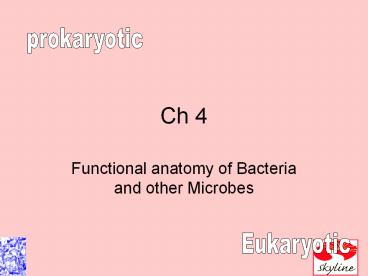 PPT – Ch 4 PowerPoint presentation | free to download - id: 3dcf25-YmIwN