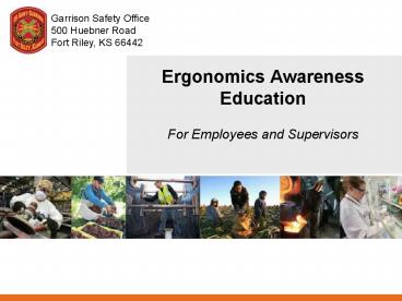 PPT – Ergonomics Awareness Education PowerPoint presentation | free to ...