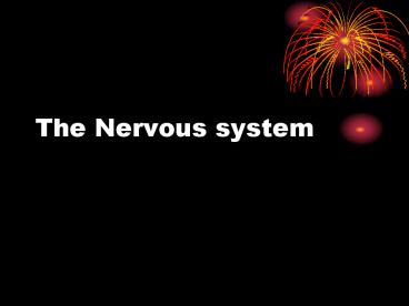 PPT – The Nervous system PowerPoint presentation | free to download ...