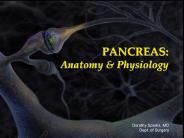PPT – Anatomy of Pancreas PowerPoint presentation | free to download ...