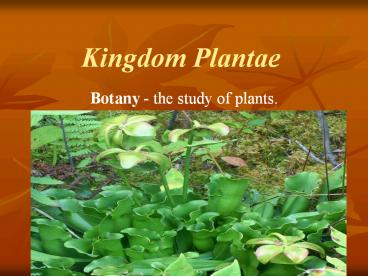 Kingdom Plantae presentation | free to view