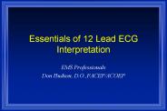 PPT – basics of ecg PowerPoint presentation | free to download - id ...
