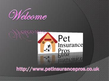 Pet Insurance presentation | free to download