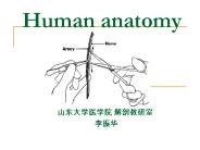 PPT – Download Netter's Anatomy Coloring Book Updated Edition (Netter ...