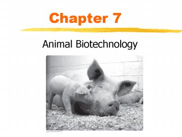 Animal Biotechnology presentation | free to download