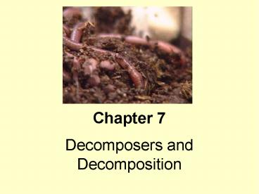 Decomposers and Decomposition presentation | free to download