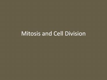 Mitosis and Cell Division presentation | free to download