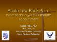 PPT – Acute Low Back Pain PowerPoint presentation | free to view - id ...